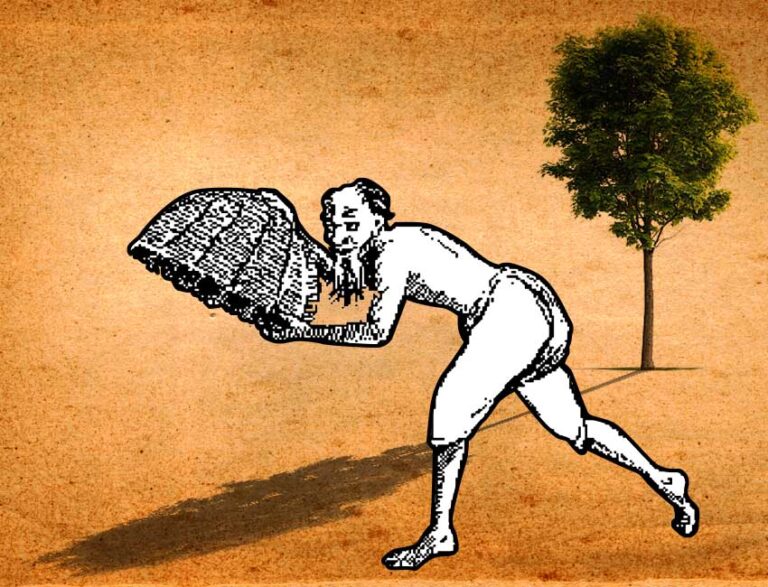 The Shadow Catcher - East India Story